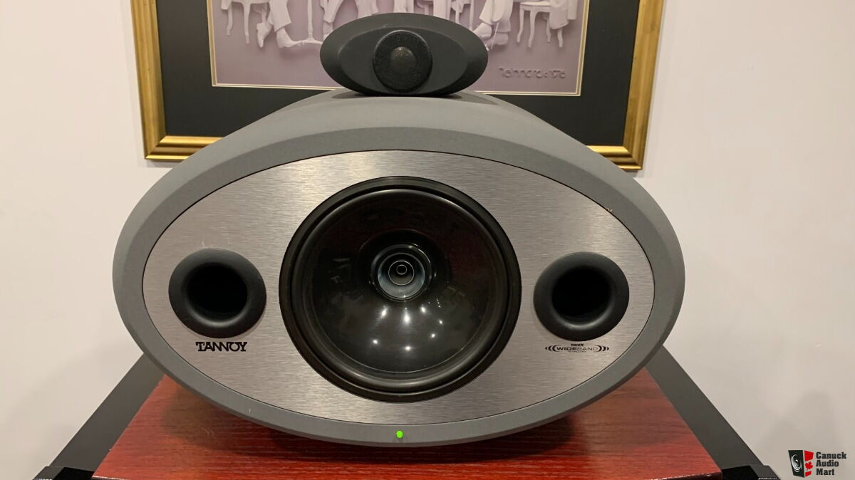 SINGLE Tannoy Ellipse 8 Active Studio Monitor U.K,Manual, *FREE GTA ...