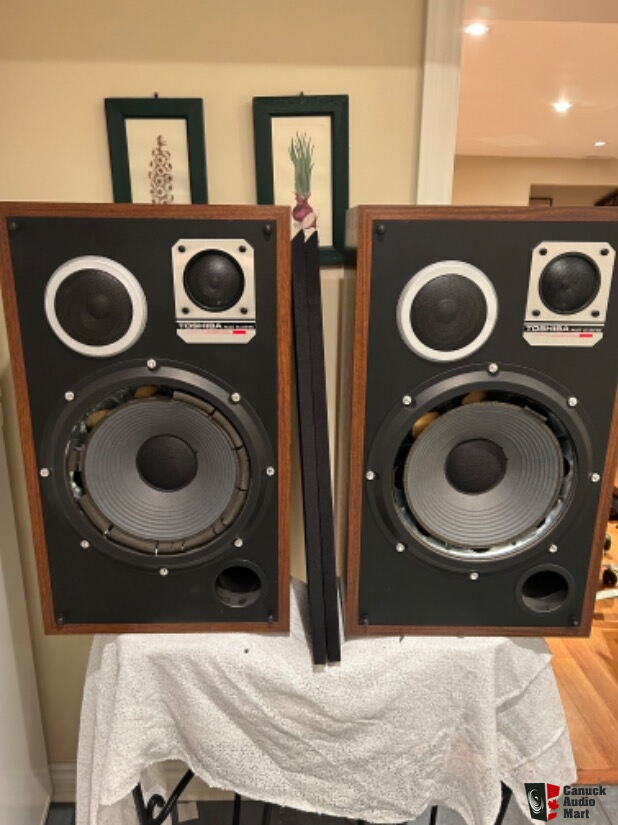Toshiba system Photo #4989207 - Canuck Audio Mart