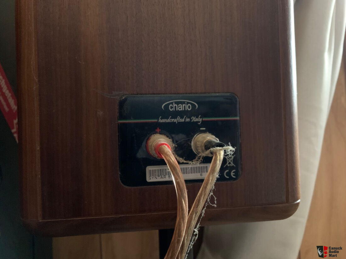 Chario syntax speakers Photo #5013097 - Canuck Audio Mart
