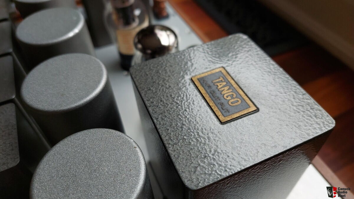 Oliver Sayes 307A 300B Triode Amplifier - Tango output transformers