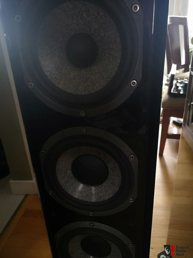 Focal 826W Floor Standing Speakers Photo #5027545 - US Audio Mart