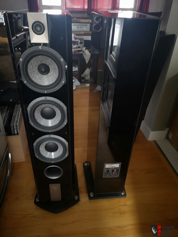 Focal 826W Floor Standing Speakers Photo #5027545 - US Audio Mart