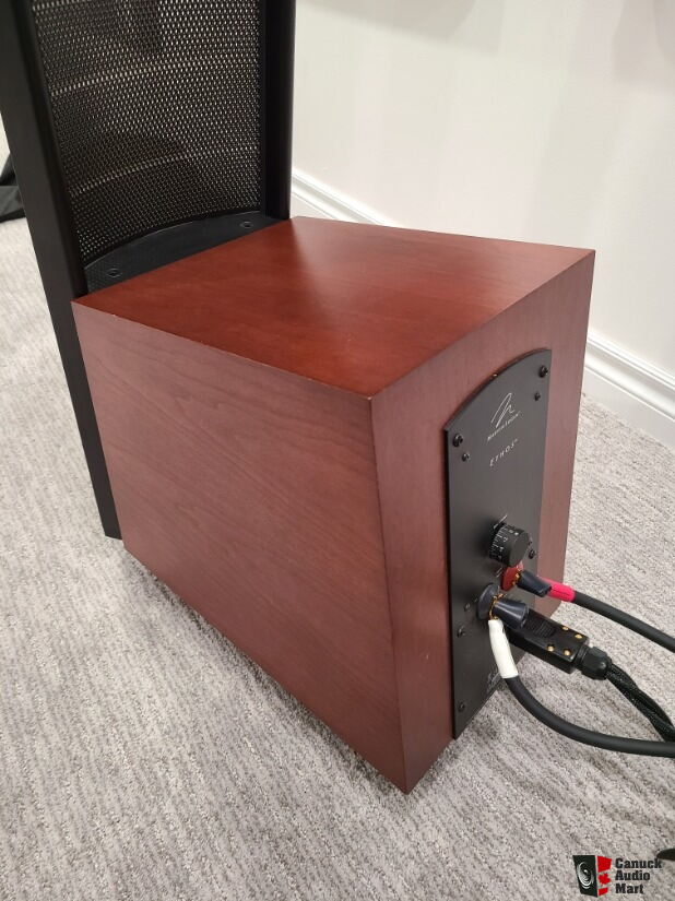 Martin Logan Ethos Electrostatic Hybrid Speakers Photo #5028326 ...