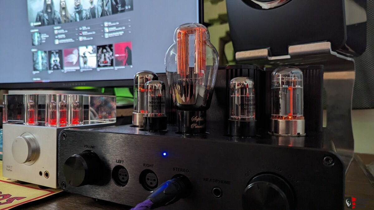 Woo Audio WA22 1st Gen