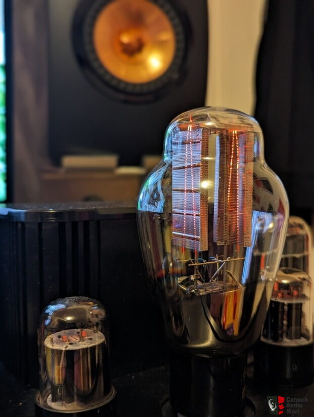 Woo Audio WA22 1st Gen