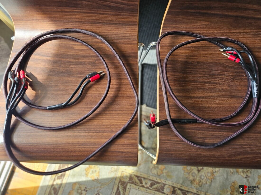 AUDIO QUEST Rocket 33 bi wired 8ft X 2 For Sale - Canuck Audio Mart