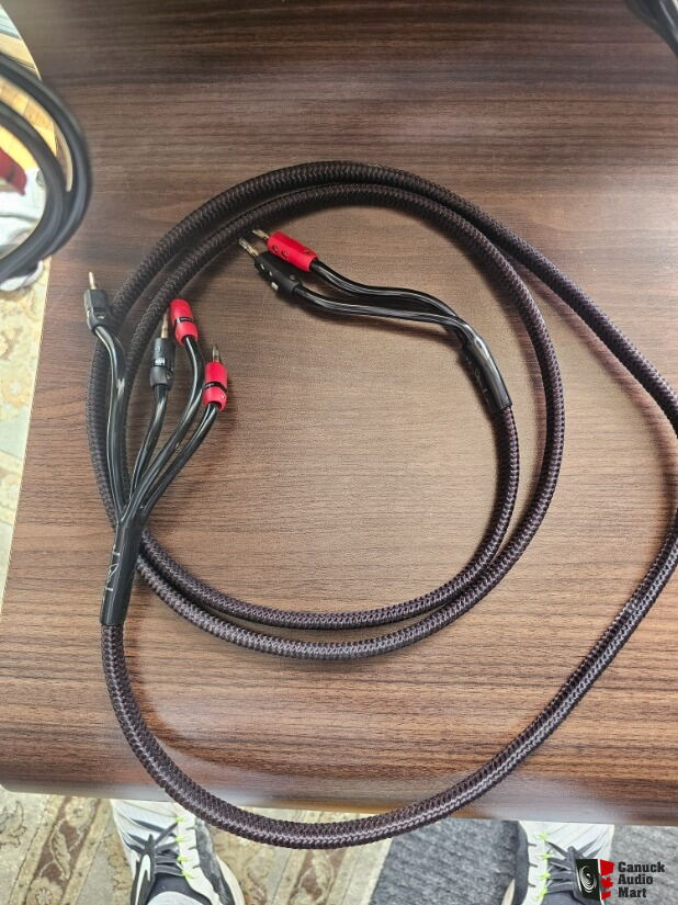 AUDIO QUEST Rocket 33 bi wired 8ft X 2 Photo #5030071 - Canuck Audio Mart