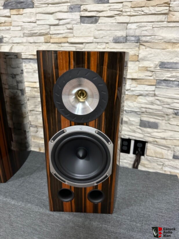 Triangle Magellan Duetto 40TH Zebrano Finish (MUST SEE)
