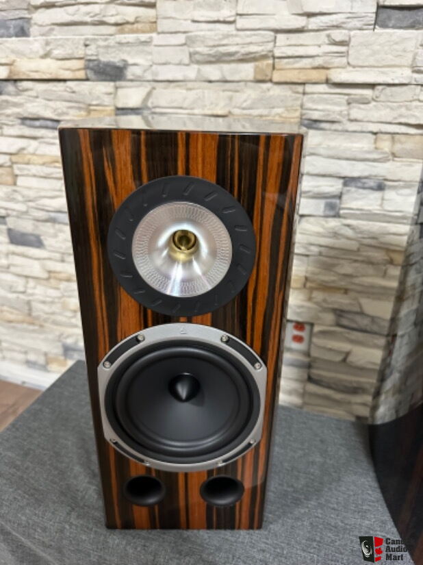 Triangle Magellan Duetto 40TH Zebrano Finish (MUST SEE)