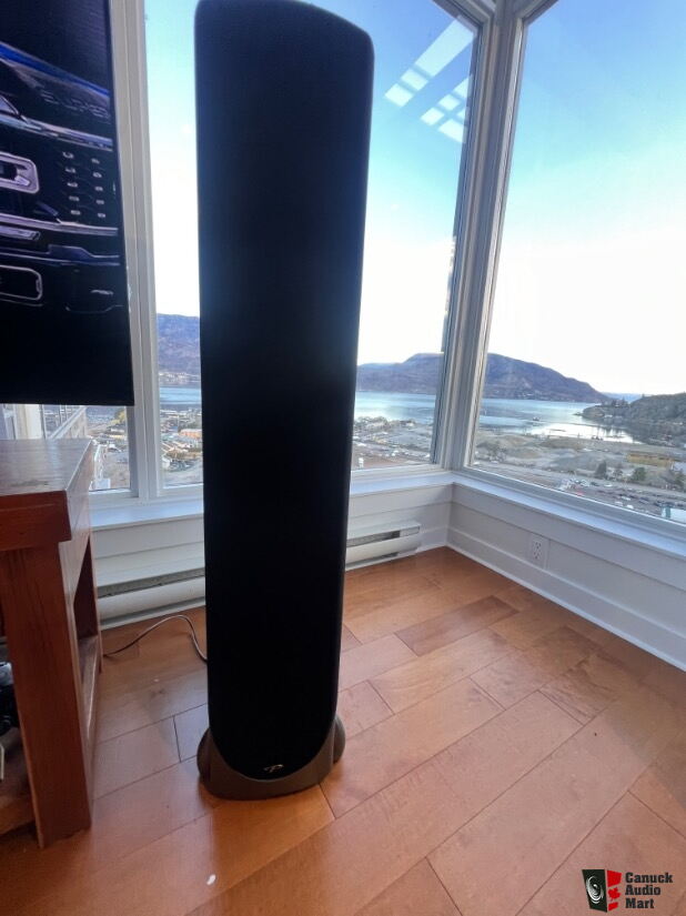 Paradigm Studio 100 V5 Mint shape Photo #5032892 - Canuck Audio Mart