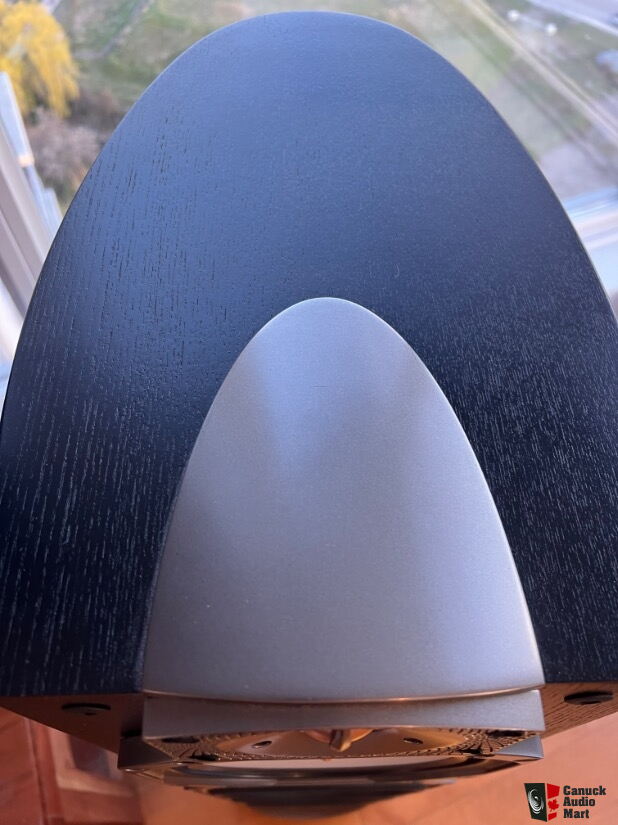 Paradigm Studio 100 V5 Mint shape Photo #5032894 - Canuck Audio Mart