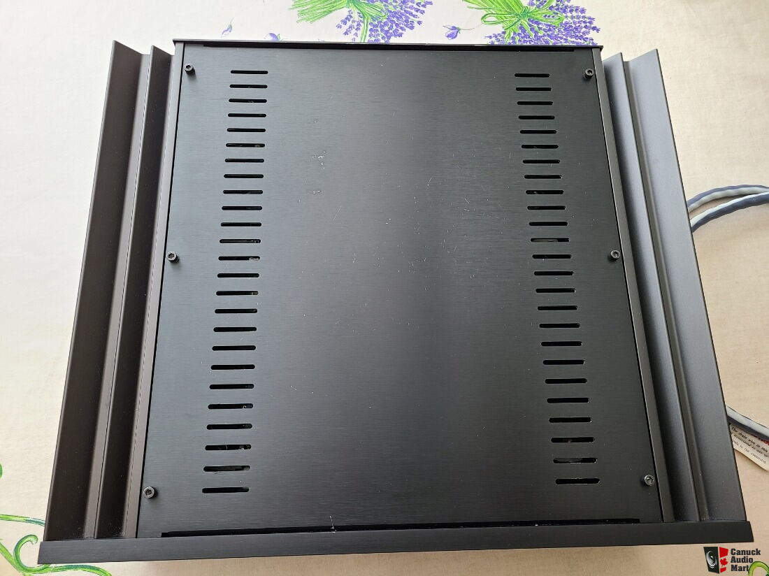 First Watt SIT-2 amplifier