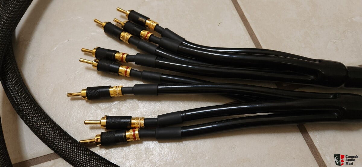 Transparent Audio MusicWare Ultra Bi-wire MM Speaker Cables -10 Ft ...