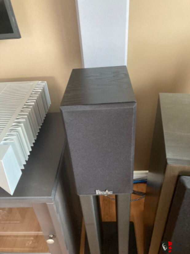 Proac Tablette Reference 8// Black Ash // Very musical Photo #5044766 ...