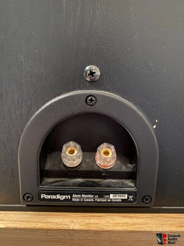 Paradigm Atom Monitor V.5 Photo #5058367 - US Audio Mart