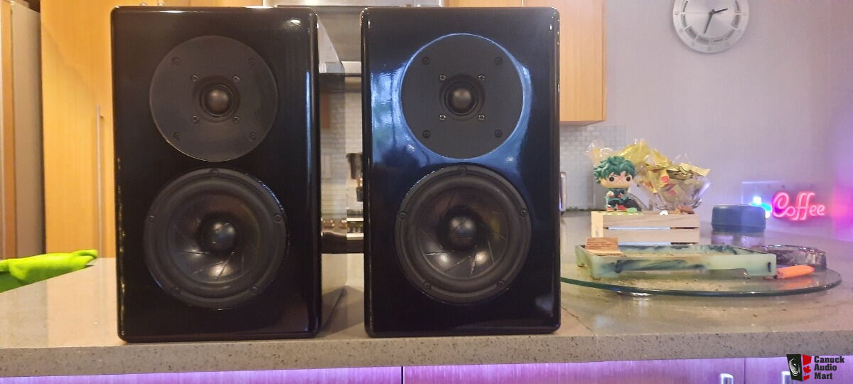 Northcreek Audio Kitty Kat Revelator For Sale - US Audio Mart