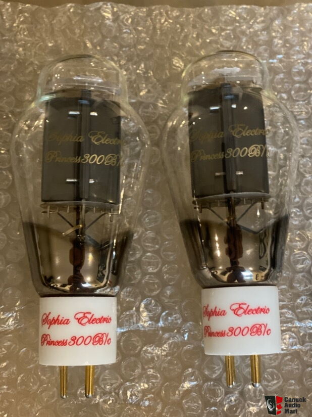 Sophia Electric Princess Carbon Plate 300B Photo #5066453 - Canuck ...