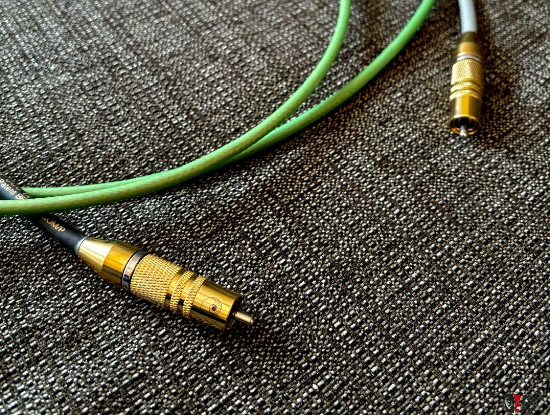 Iconoclast Gen 2 RCA OHNO UPOCC Photo #5066690 - US Audio Mart