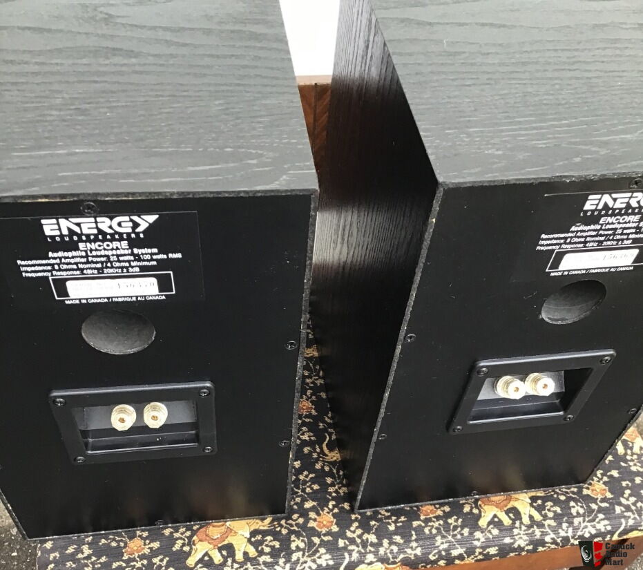 Vintage Energy Encore Speakers in Excellent Condition + Audioquest 14 ...