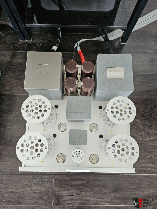 Allnic A6000 Monoblocks ***Superb Condition Photo #5089802 - US Audio Mart
