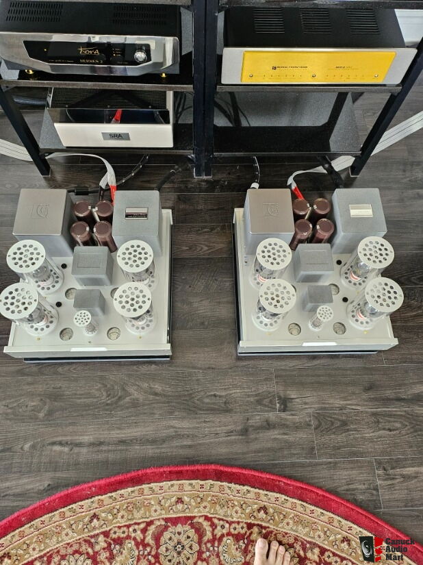 Allnic A6000 Monoblocks ***Superb Condition Photo #5089802 - US Audio Mart