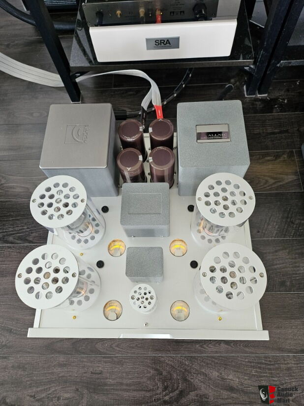Allnic A6000 Monoblocks ***Superb Condition Photo #5089807 - US Audio Mart