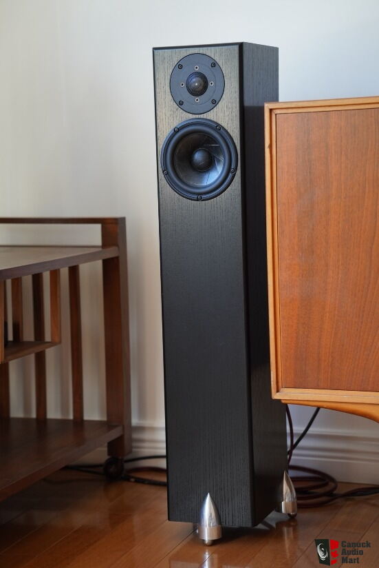 Totem Acoustics Hawk Speakers Photo #5091697 - US Audio Mart