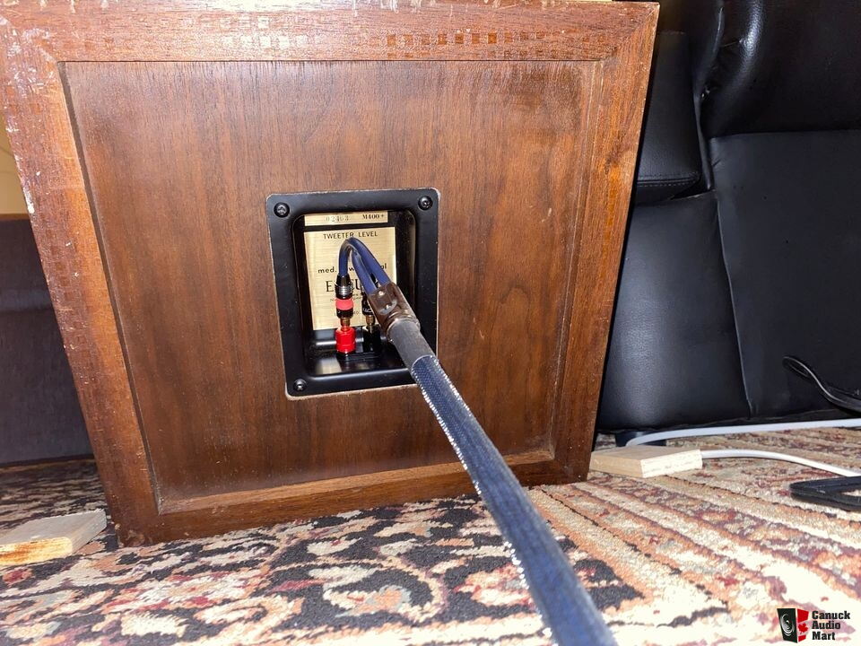 Epicure M400+ Speakers. Omnidirectional. Extremely RARE. OBO Photo ...