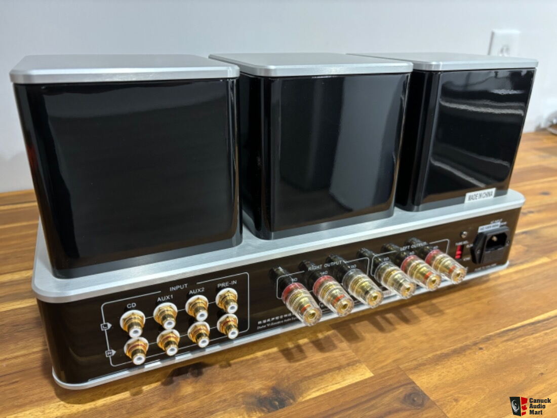 Willsenton R8 Integrated Tube Amplifier Photo #5100493 - US Audio Mart