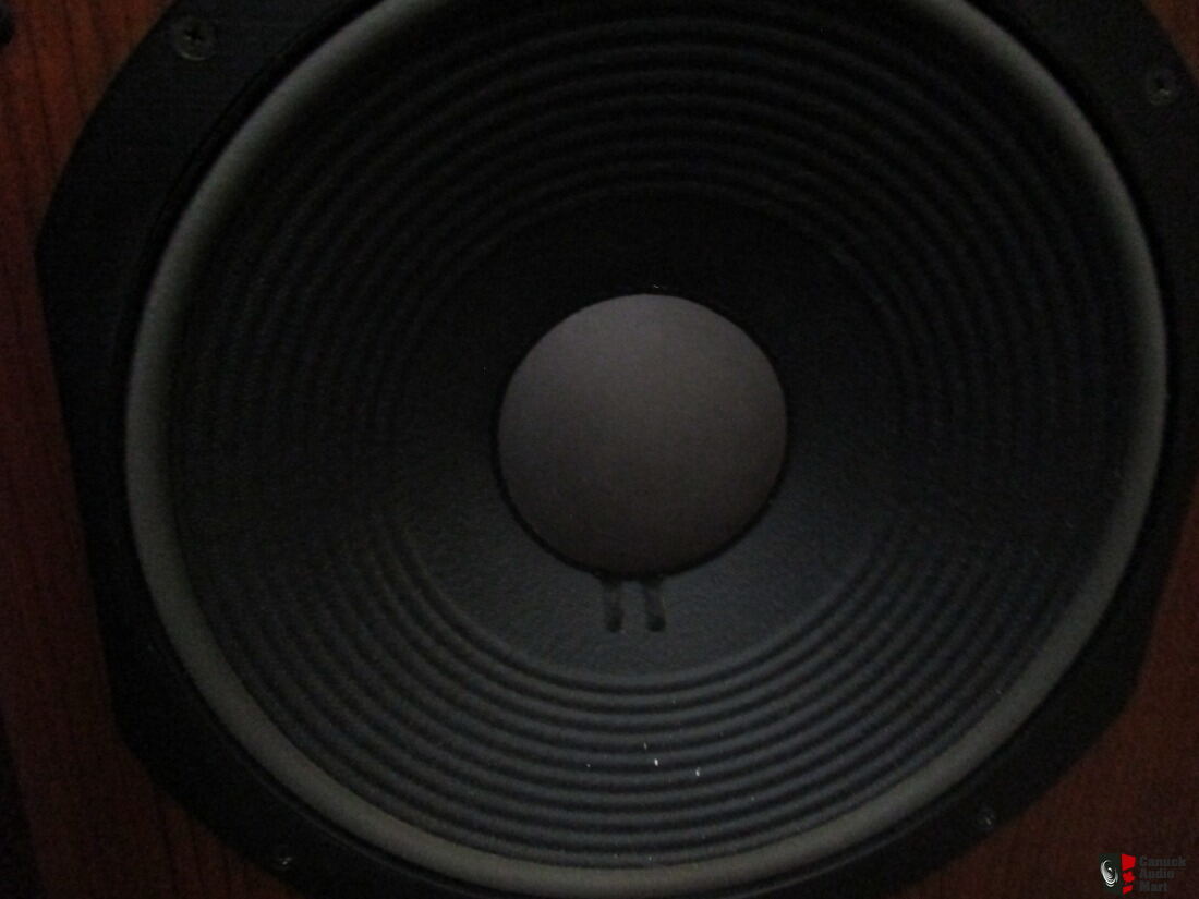 JBL 240ti Photo #5103529 - US Audio Mart