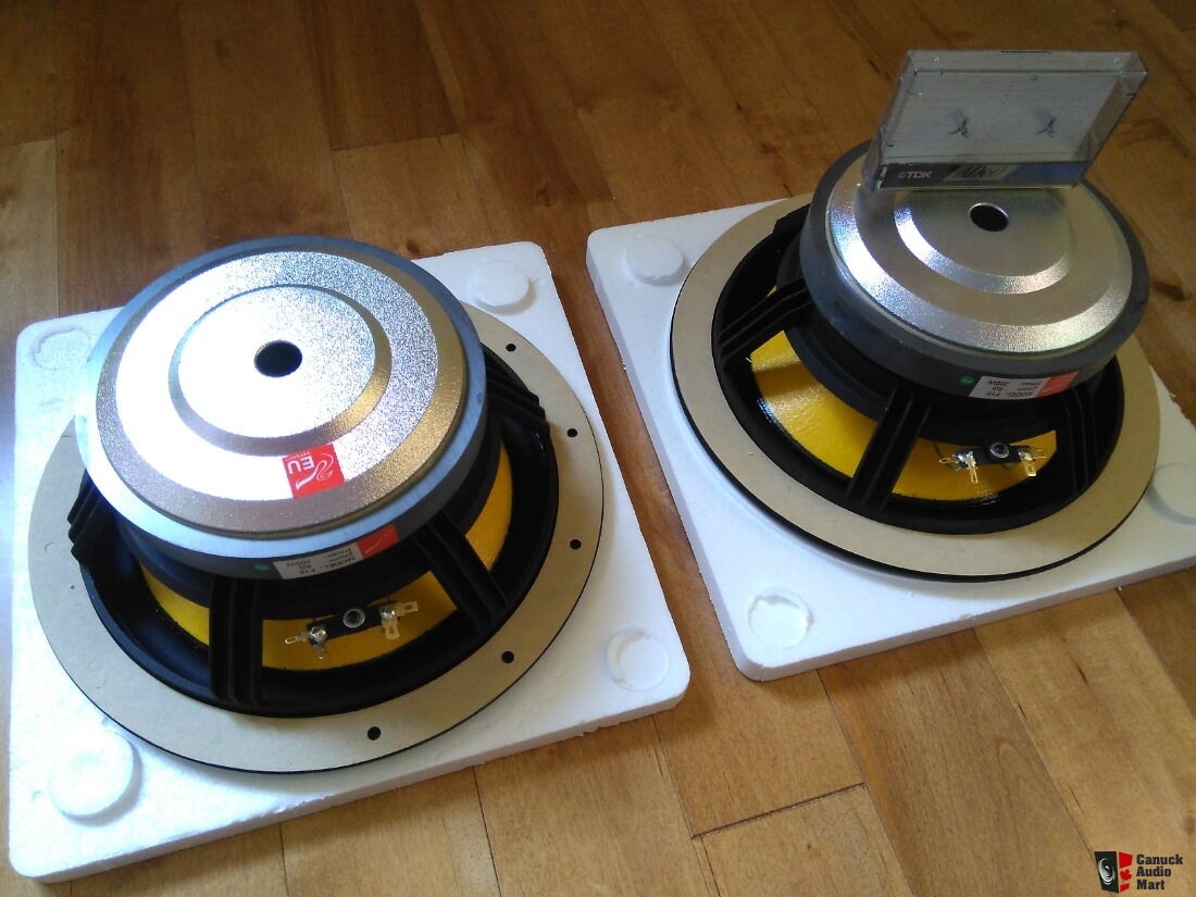 Pair of brand new HiVi F10 speakers (with original shipping box) For ...