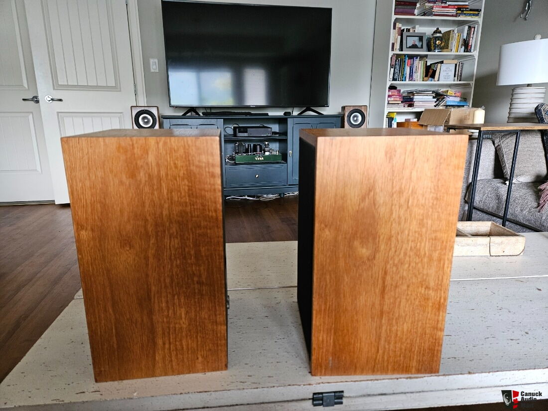 Pending to Derek! Beautiful Linn Majik-I Photo #5107409 - UK Audio Mart