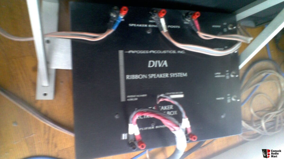 Apogee Acoustic Diva Ribbon Speakers Photo #5111579 - US Audio Mart
