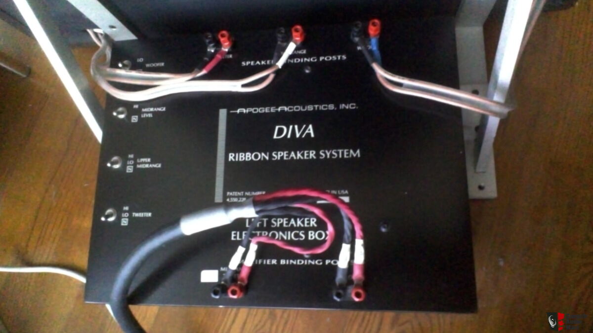 Apogee Acoustic Diva Ribbon Speakers Photo #5111581 - US Audio Mart