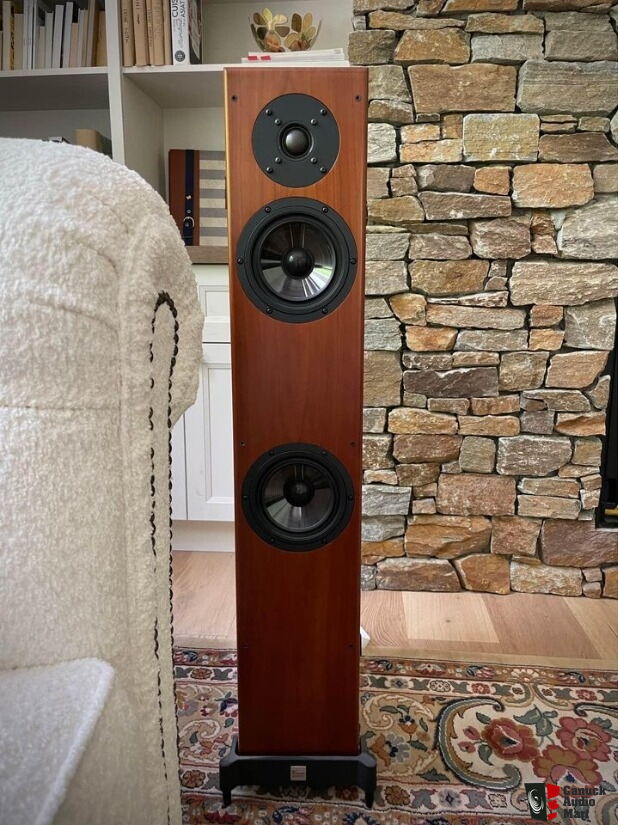Vienna Acoustics Speakers - Mozart Grand Photo #5120501 - Canuck Audio Mart