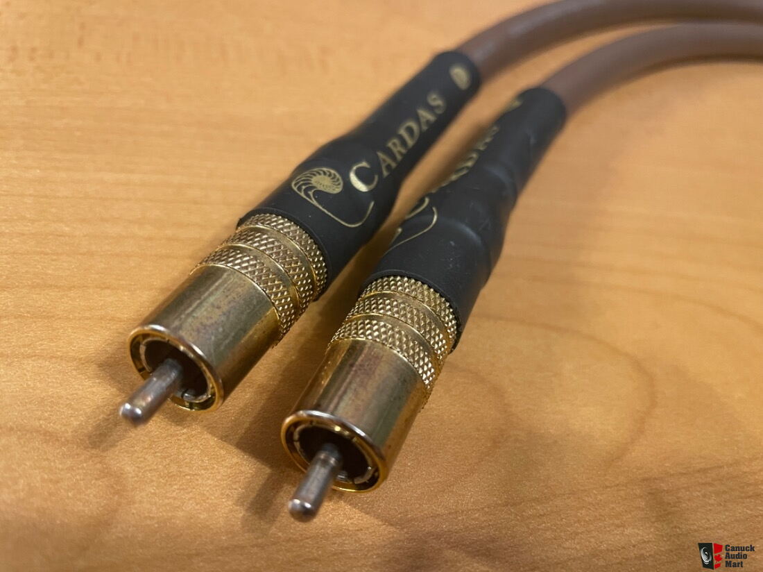 Cardas Golden Presence Interconnect 0.5m For Sale - US Audio Mart