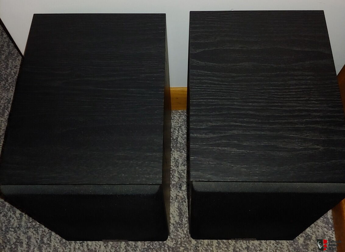 Rare find Paradigm Mini MK3 bookshelf speakers Photo #5136716 - UK ...