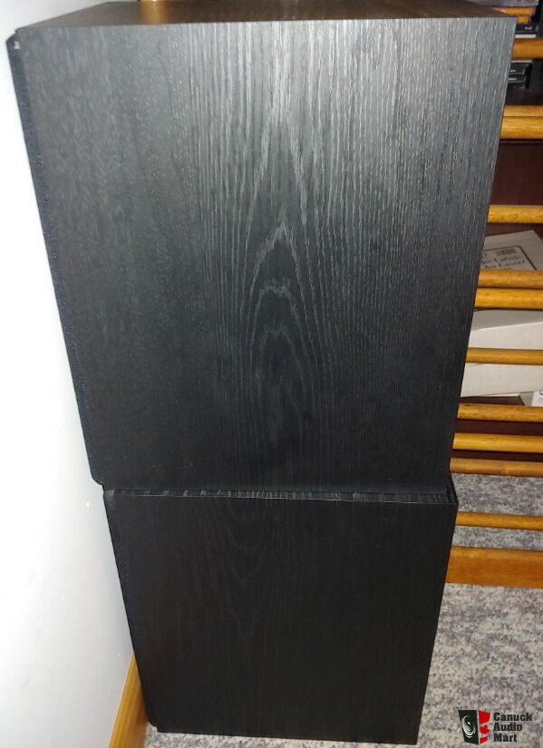 Rare find Paradigm Mini MK3 bookshelf speakers Photo #5136716 - US ...