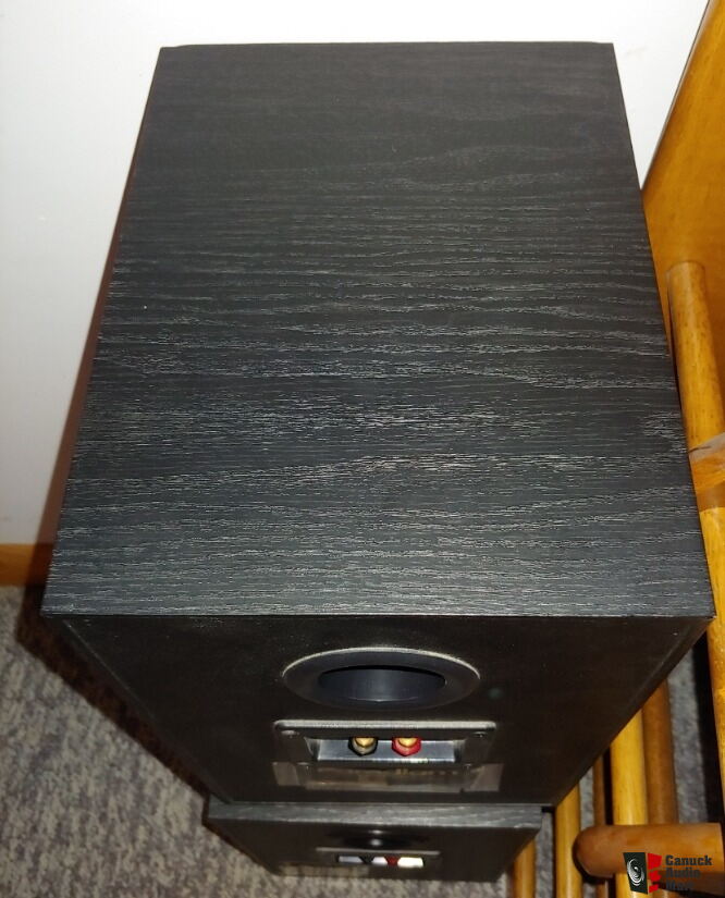 Rare find Paradigm Mini MK3 bookshelf speakers Photo #5136716 - UK ...