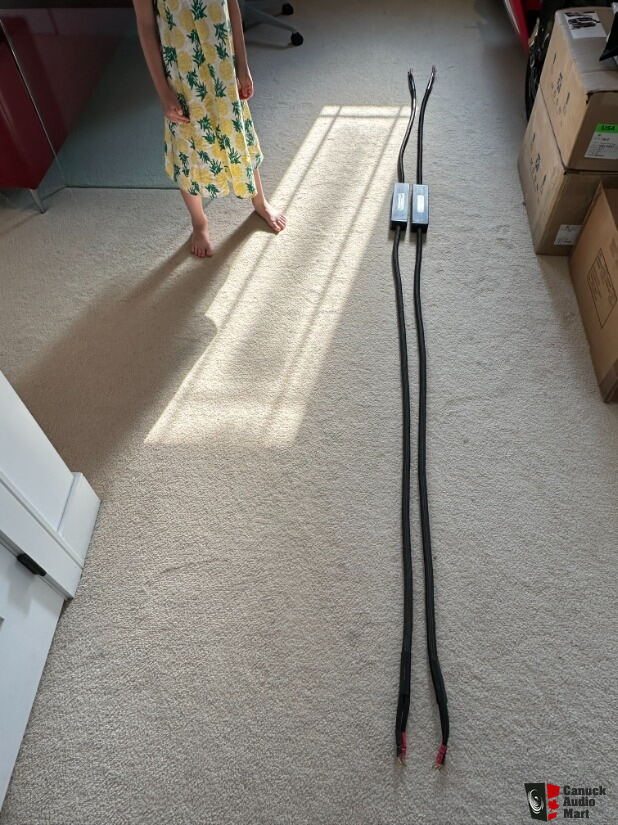 Transparent XL Speaker Cable 10' Spade ends - Excellent condition ...