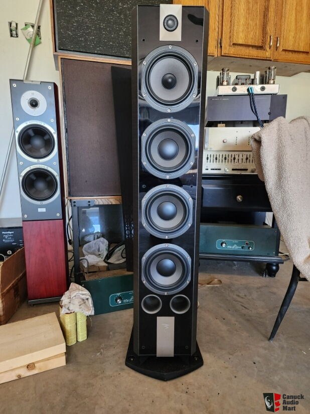 Focal chorus v 836 Photo #5145345 - Canuck Audio Mart