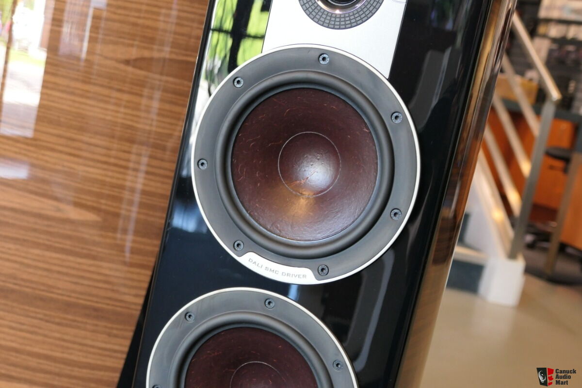 DALI Epicon 6 Walnut Demo Photo #5148269 - Canuck Audio Mart