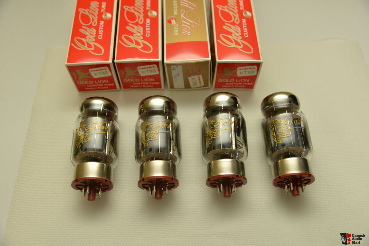 GOLD LION KT88 Photo #5150546 - Canuck Audio Mart