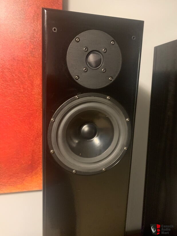 Vienna Acoustics Bach Speakers Photo #5155179 - US Audio Mart