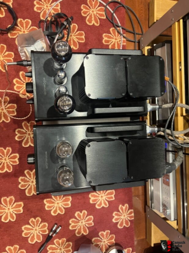 Woo Audio WA5-LE (2nd Gen) Black with upgrades Photo #5161061 - US ...