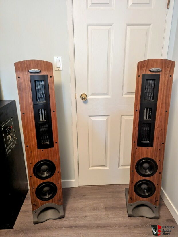Monsoon FPF-1000 planar ribbon speakers For Sale - Canuck Audio Mart