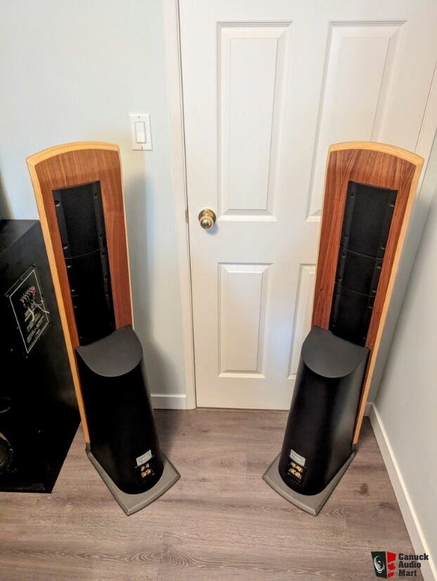 Monsoon FPF-1000 planar ribbon speakers Photo #5163866 - Aussie Audio Mart