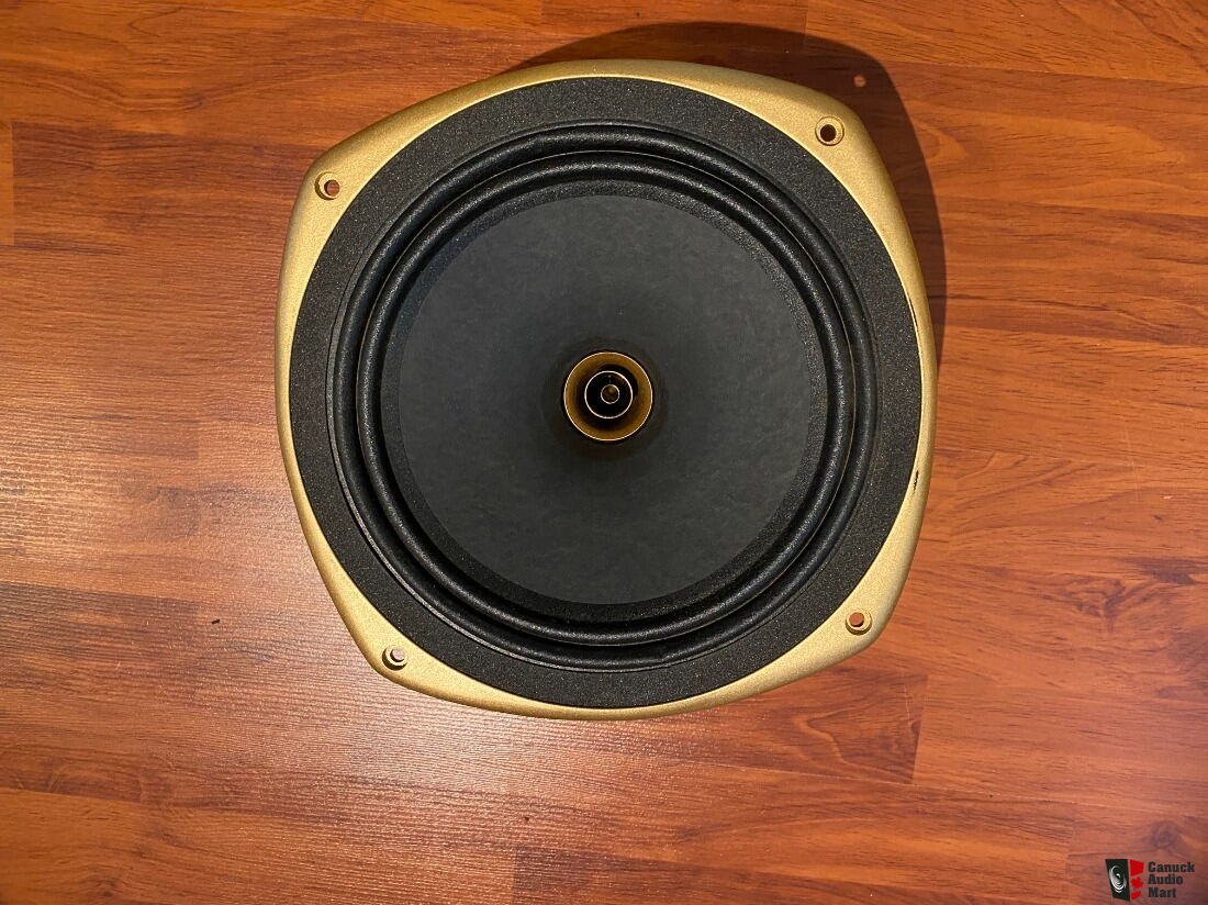 Tannoy 2517 10 inch driver, 1 driver For Sale - Canuck Audio Mart