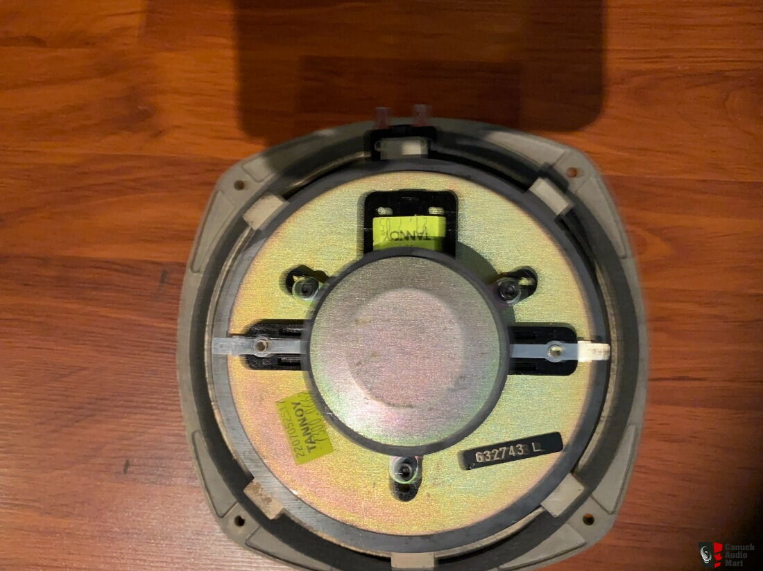 Tannoy 2517 10 inch driver, 1 driver