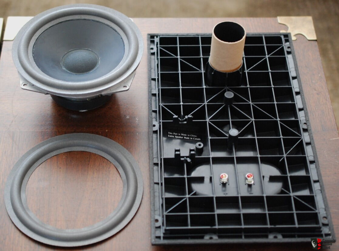 Paradigm Titan v3 Refoamed Woofer, Tweeter, Crossover and Back Plate ...